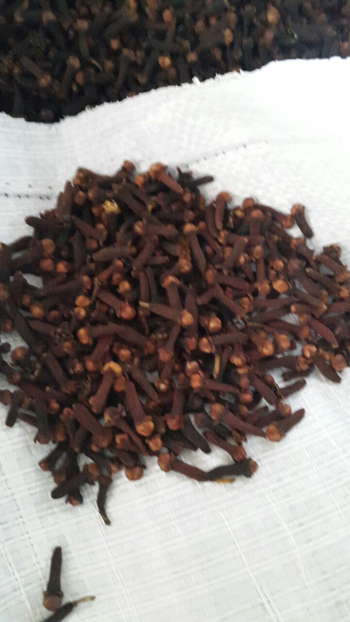 Cloves – starlaboratories.id