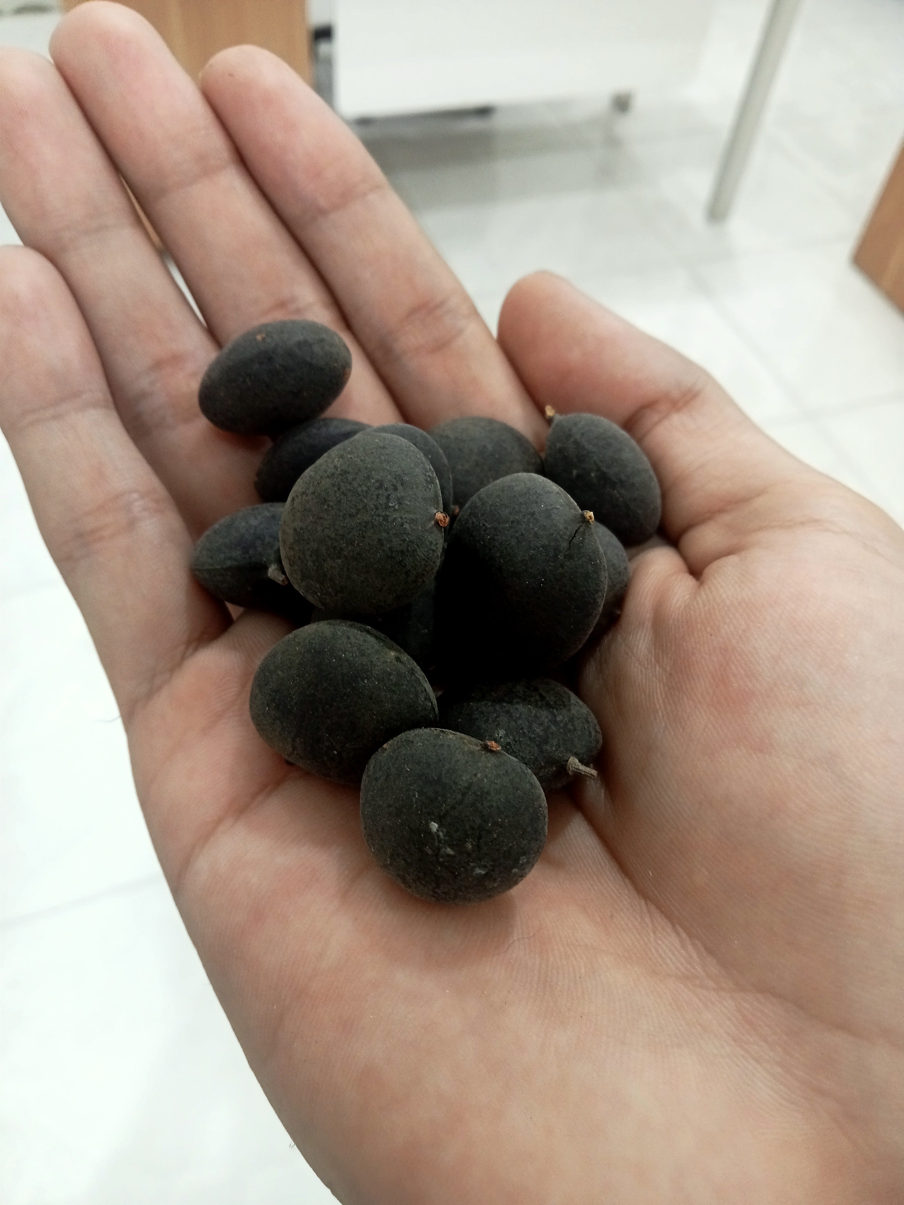 Velvet Tamarind – starlaboratories.id