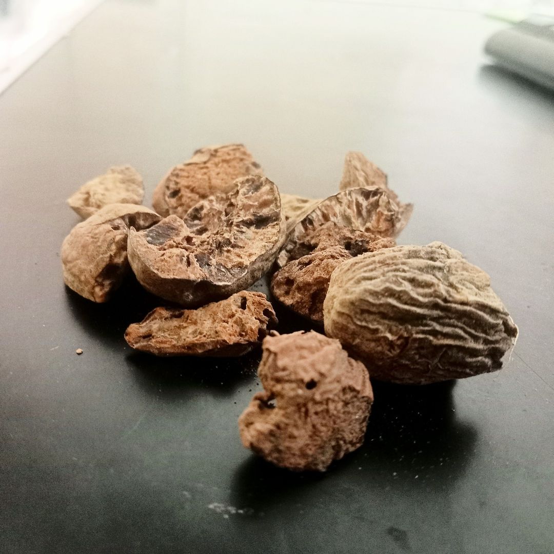 Nutmeg Broken/BWP – starlaboratories.id