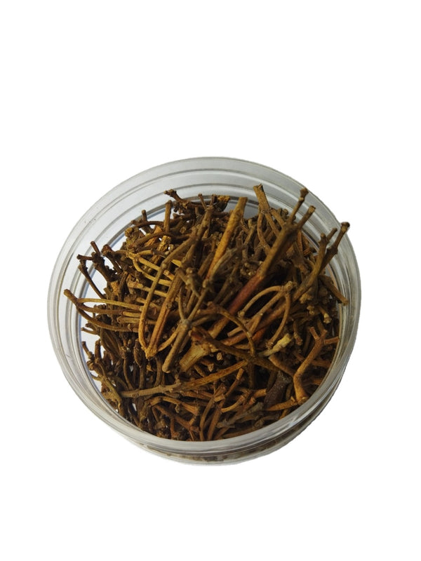 Clove Stem – starlaboratories.id